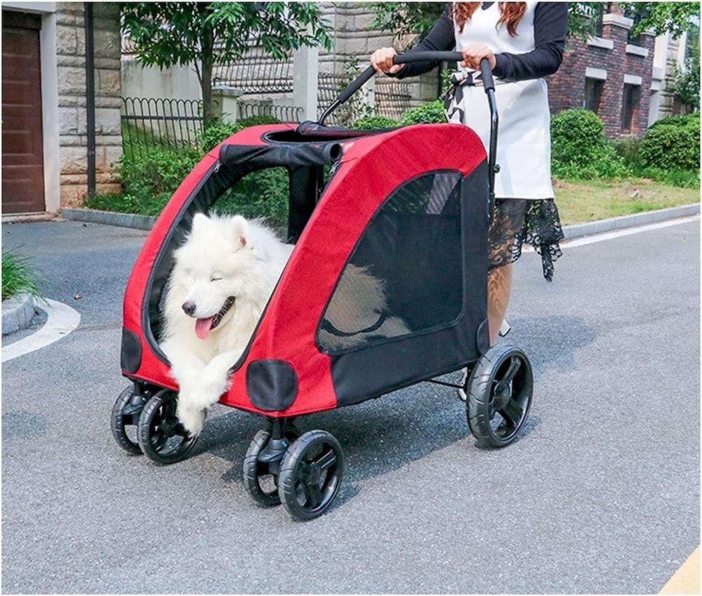 Poussette pour vieux chien : Guide d'achat, prix et avis 2026